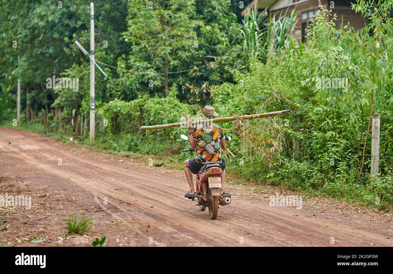 Man carrying bamboo poles hi-res stock photography and images - Alamy