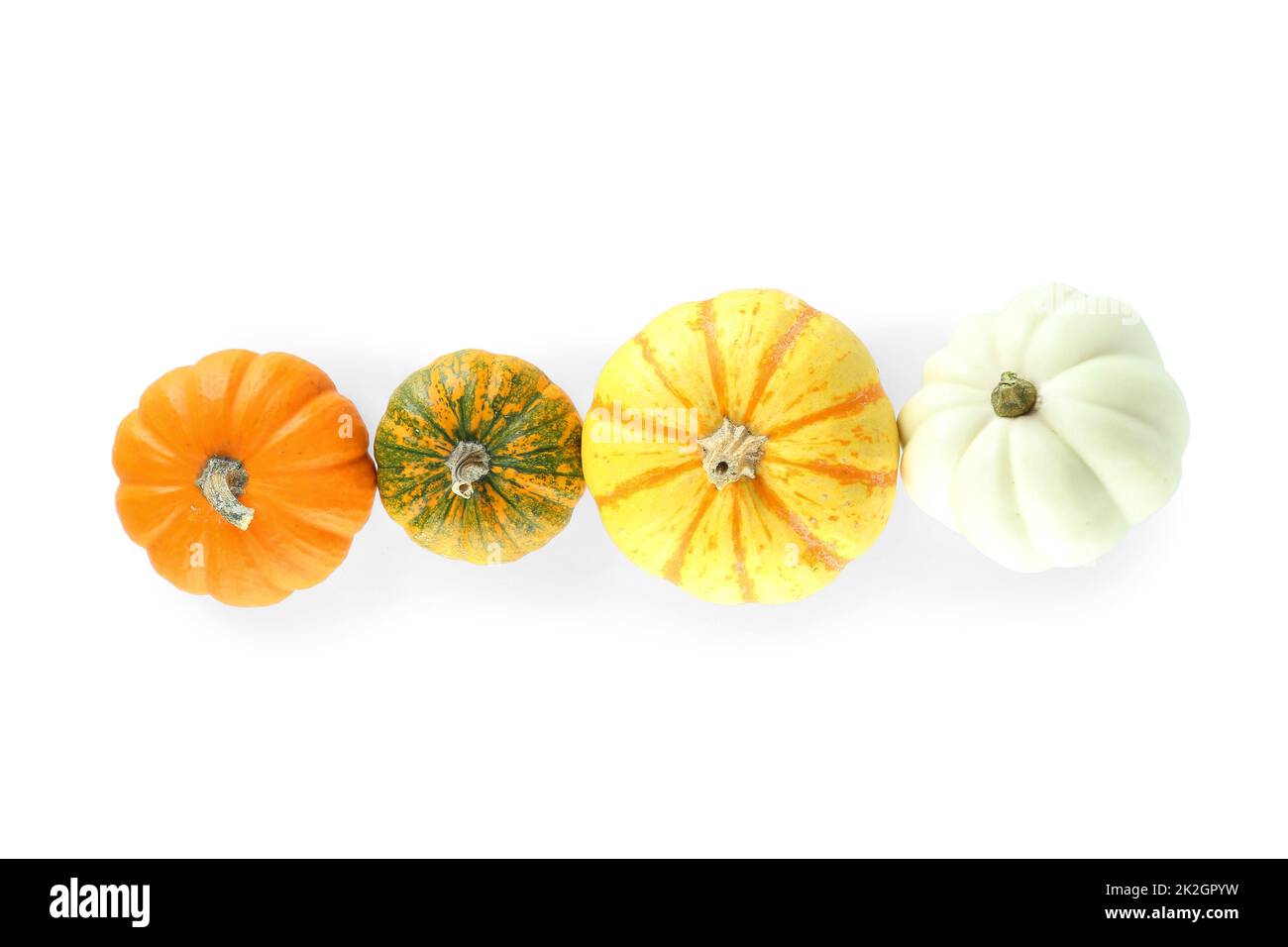 Row pumpkins on white Cut Out Stock Images & Pictures - Alamy