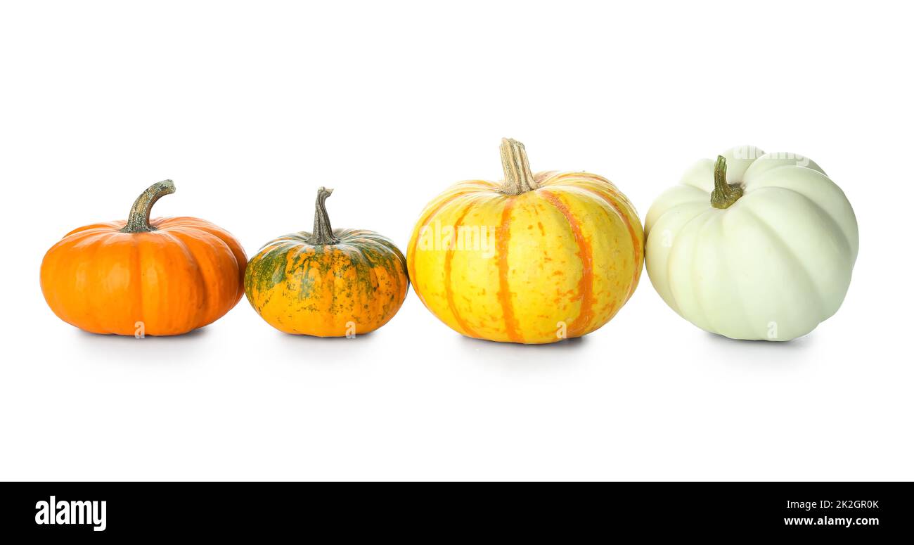 Row pumpkins on white Cut Out Stock Images & Pictures - Alamy