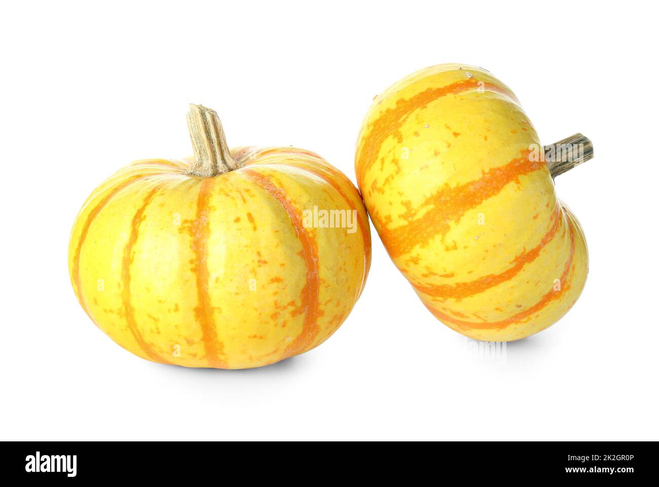 Ripe pumpkins design Cut Out Stock Images & Pictures - Alamy