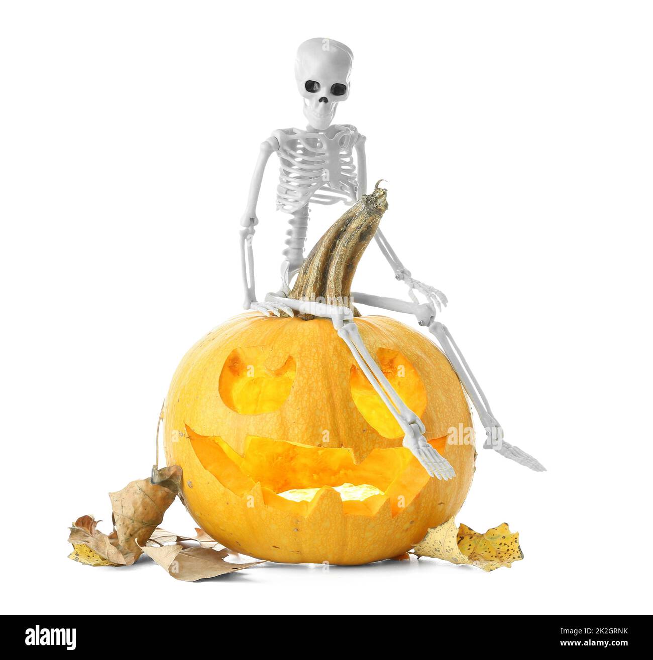 Carved Halloween pumpkin with skeleton and fallen leaves on white ...