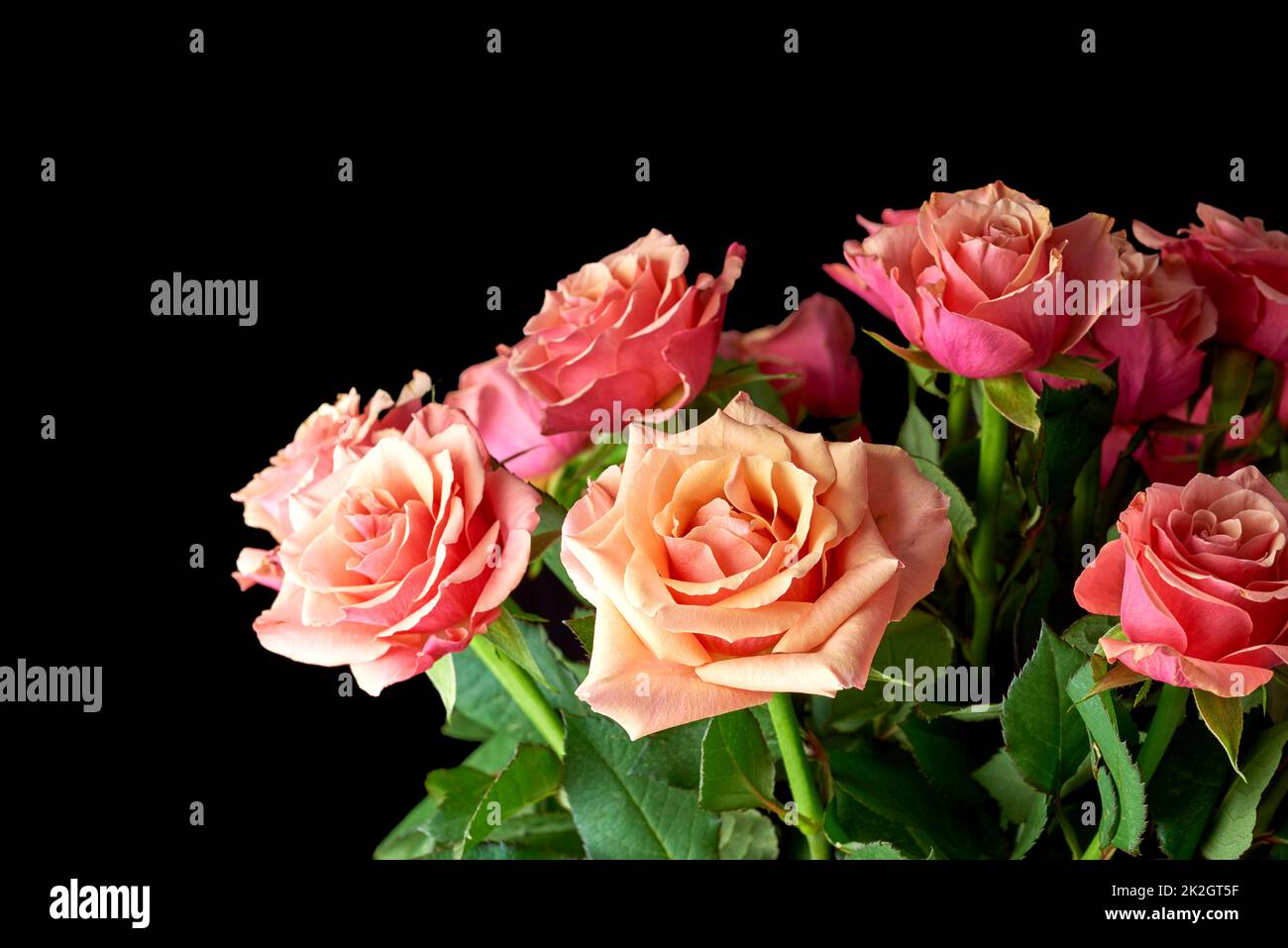 Blowing roses hi-res stock photography and images - Alamy