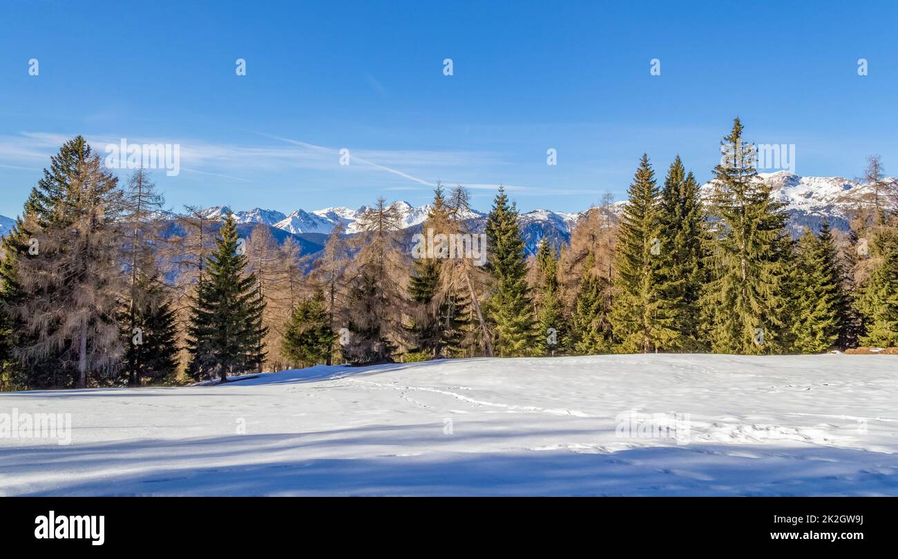 Around Felixer Weiher Stock Photo - Alamy
