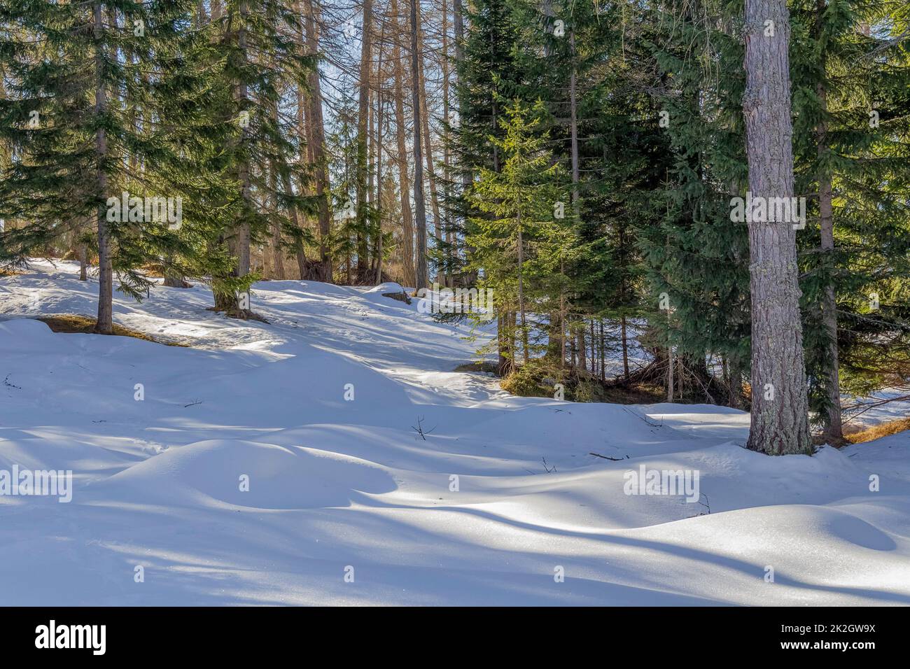Around Felixer Weiher Stock Photo - Alamy