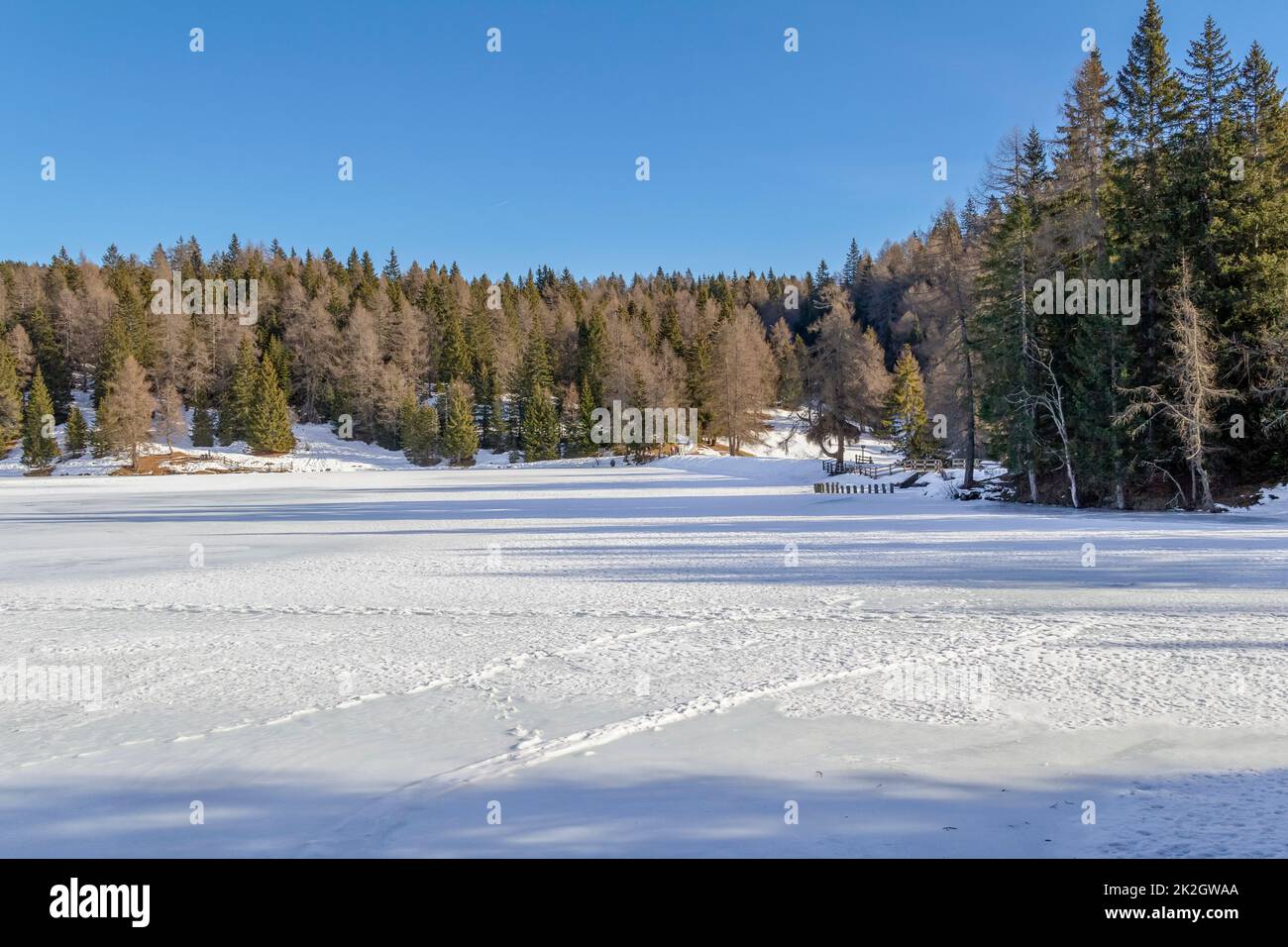 Around Felixer Weiher Stock Photo - Alamy