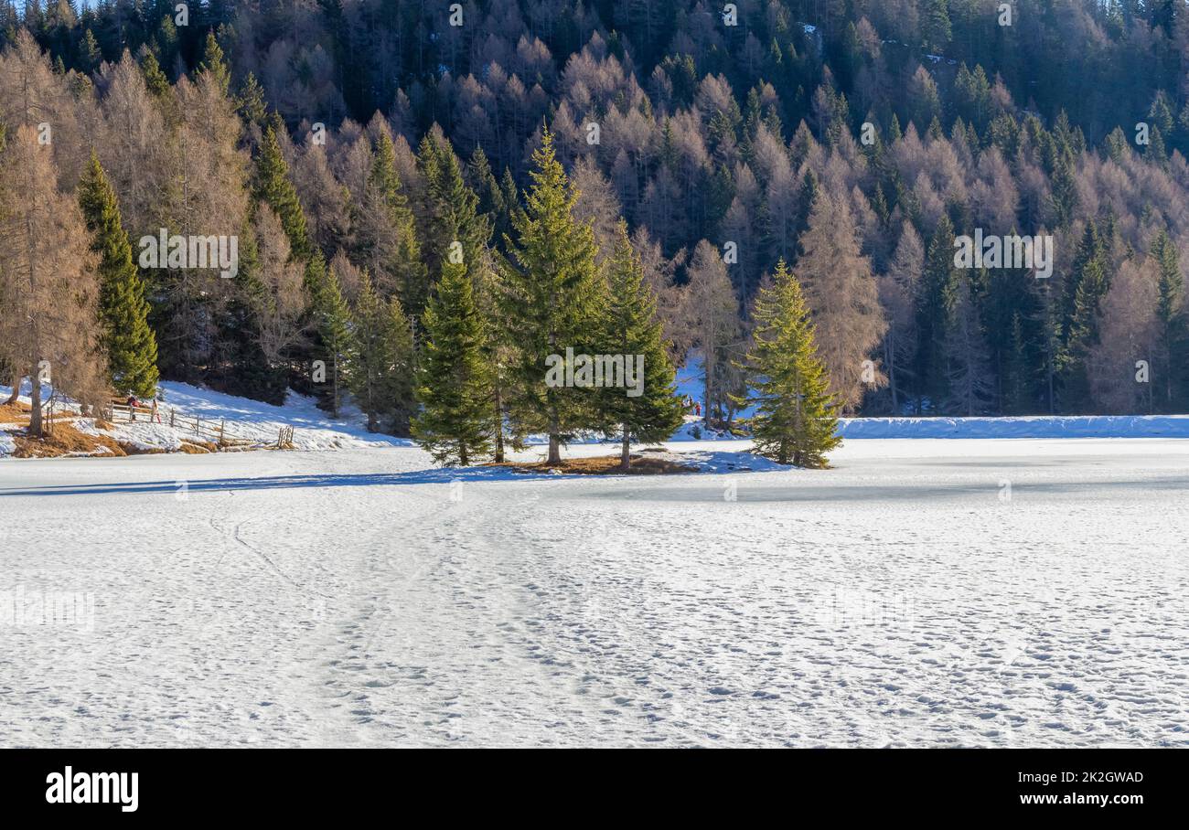 Around Felixer Weiher Stock Photo - Alamy