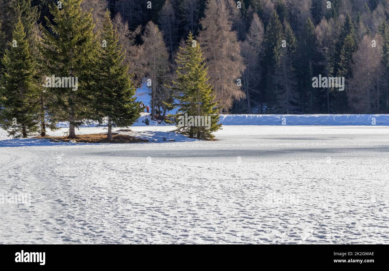 Around Felixer Weiher Stock Photo - Alamy