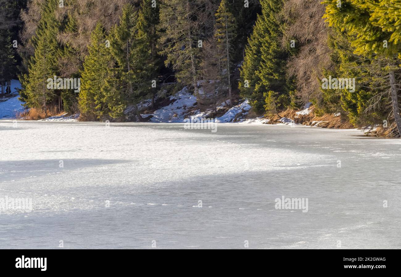 Around Felixer Weiher Stock Photo - Alamy