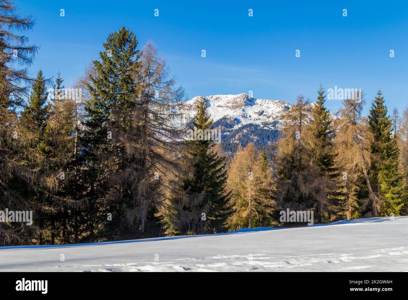 Around Felixer Weiher Stock Photo - Alamy