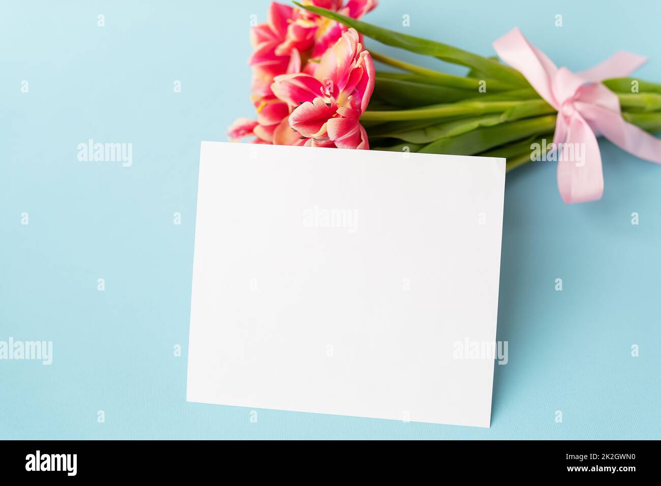 Very beautiful spring tulips on a blue paper background. Ready mokap ...