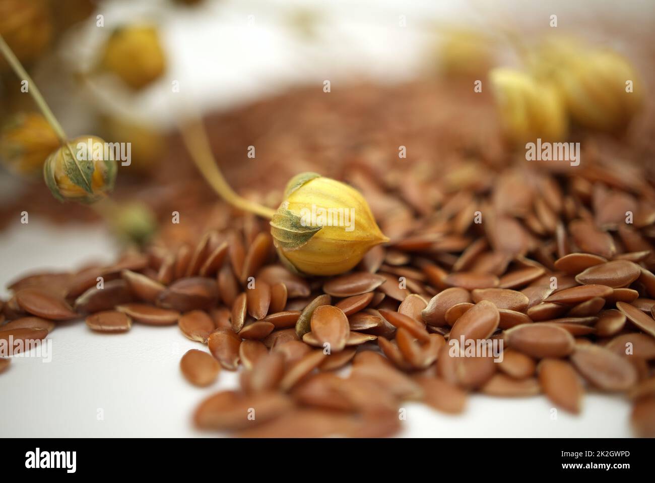 Pile of flax seeds and bunch of flax plants Stock Photo - Alamy