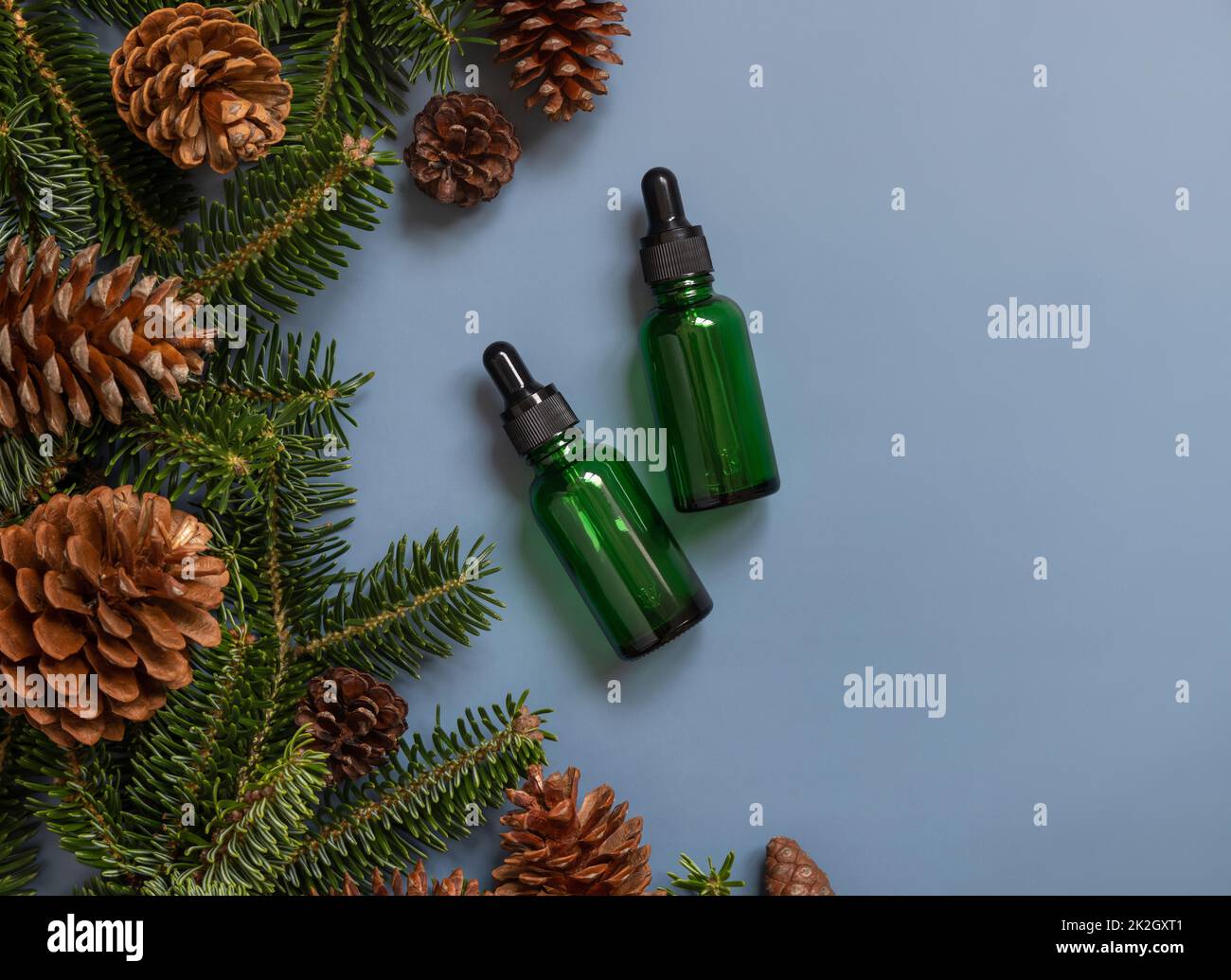 Dropper Bottles near fir branches and pine cones on blue top view ...
