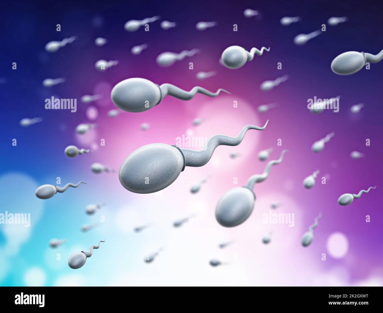 Human reproduction system Stock Photo - Alamy