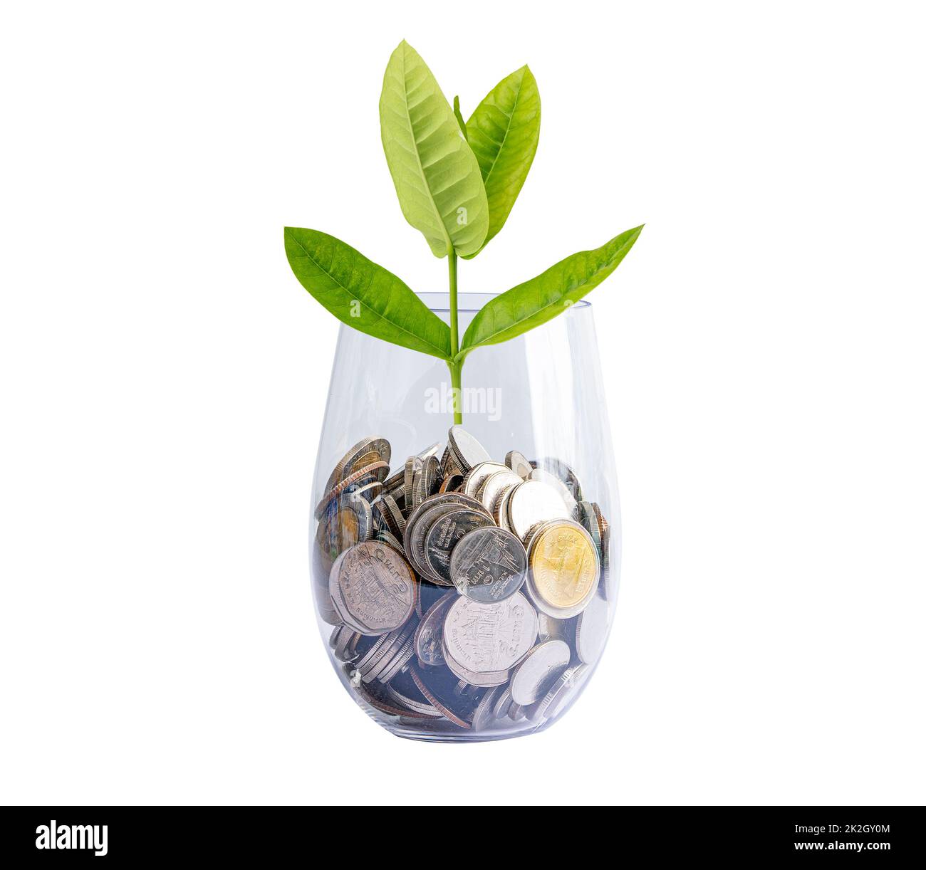 Save money tree growing on coins in plastic bottle, Business finance ...