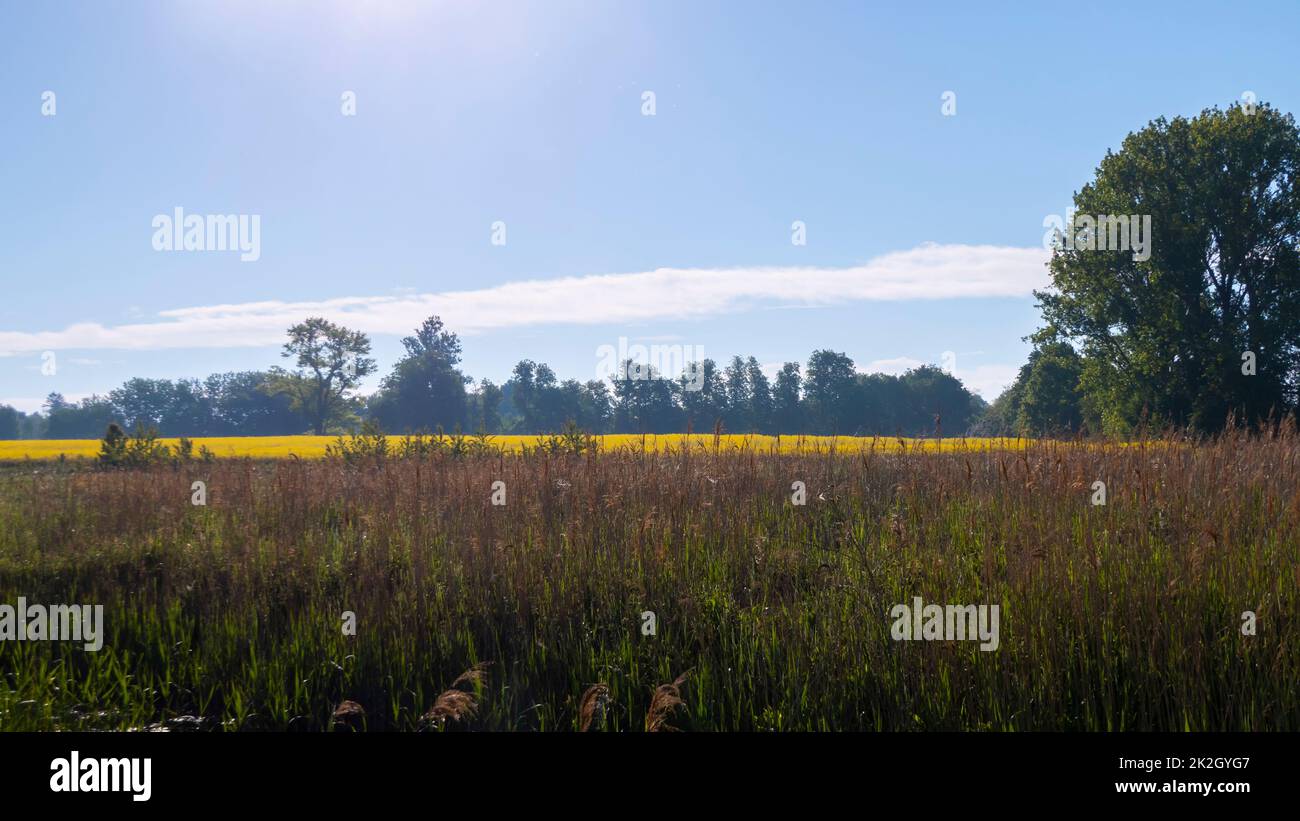 view of amazing field and blue sky from afar Stock Photo - Alamy