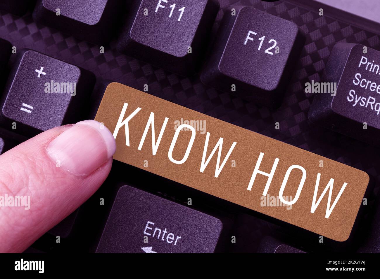 Conceptual caption Know How. Business showcase The process to learn of ...