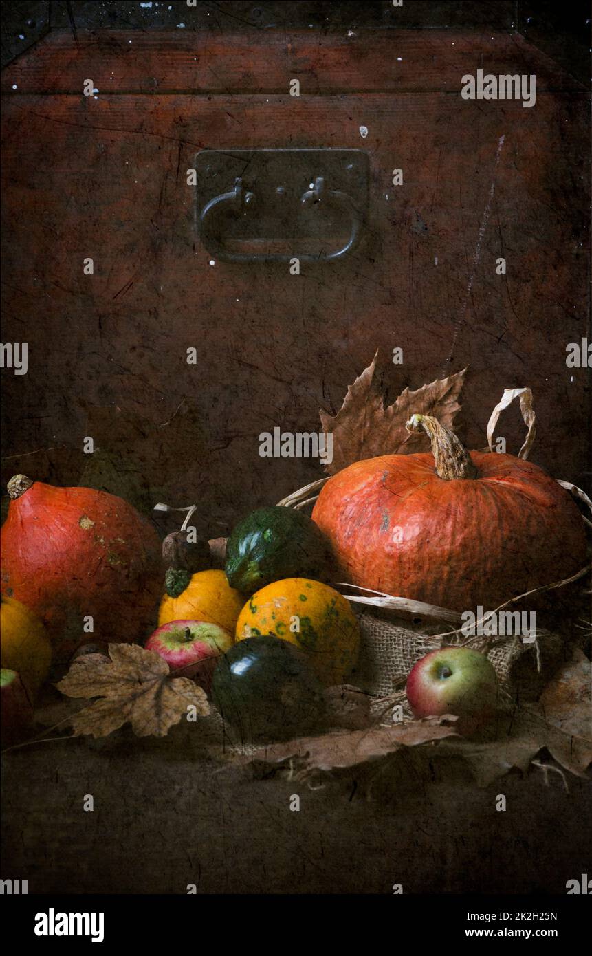 Still life pumpkins vintage hi-res stock photography and images - Alamy