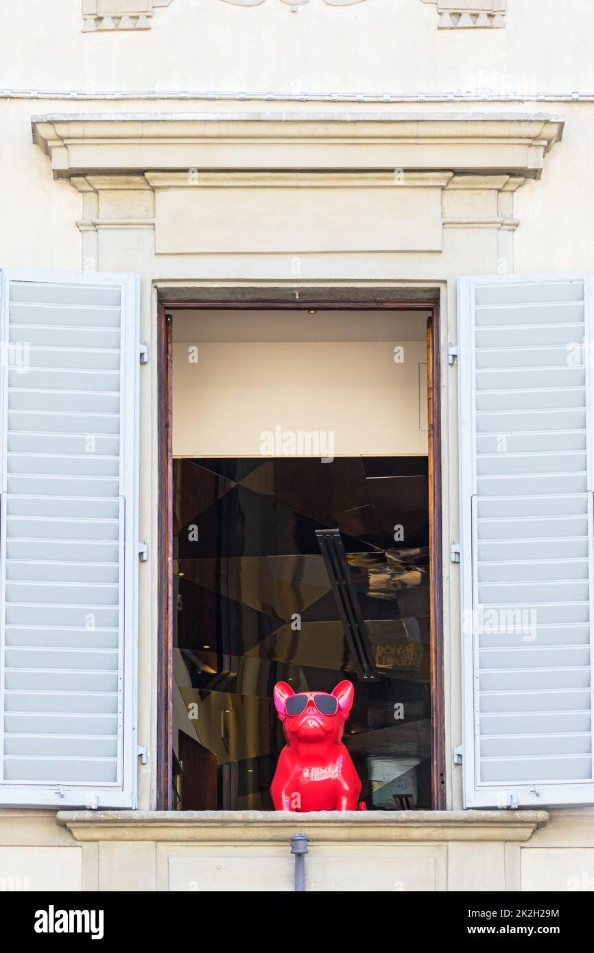 Red pig with sunglasses in a window Stock Photo - Alamy