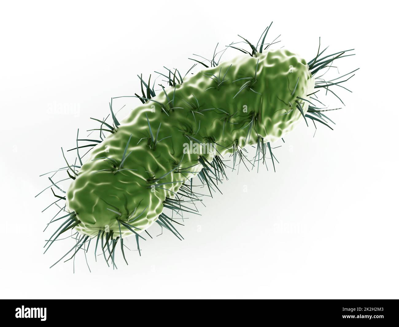 Isolated green bacteria Stock Photo - Alamy