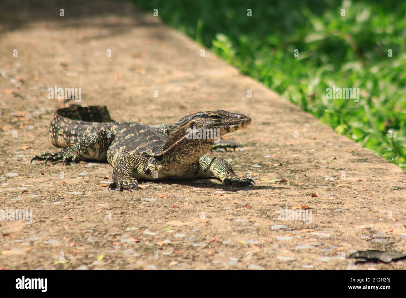 Southeast asia environment hi-res stock photography and images - Alamy
