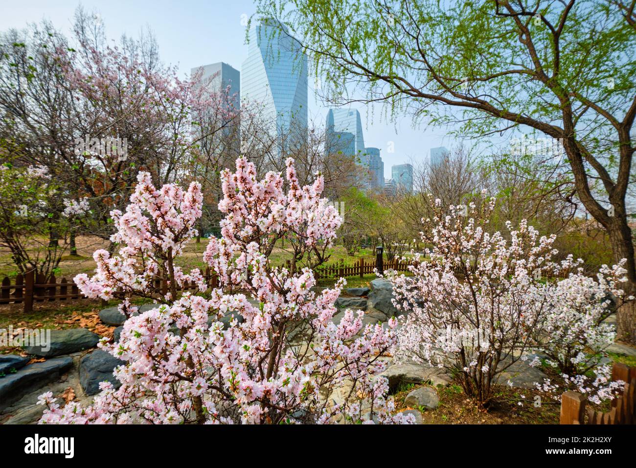 Yeouido Park in Seoul, Korea Stock Photo - Alamy