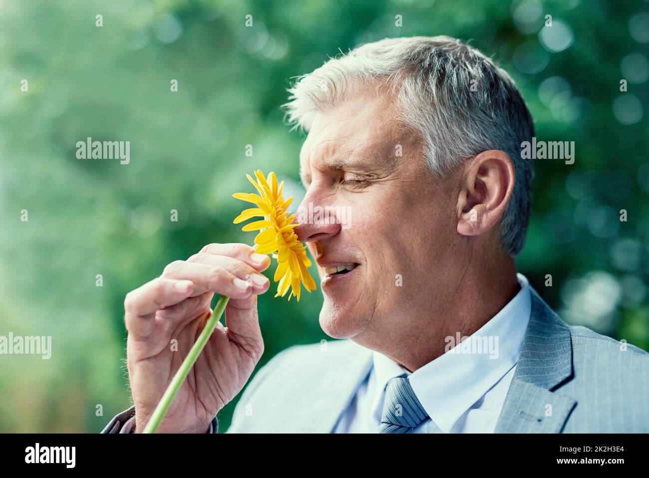 Gone grey hi-res stock photography and images - Alamy