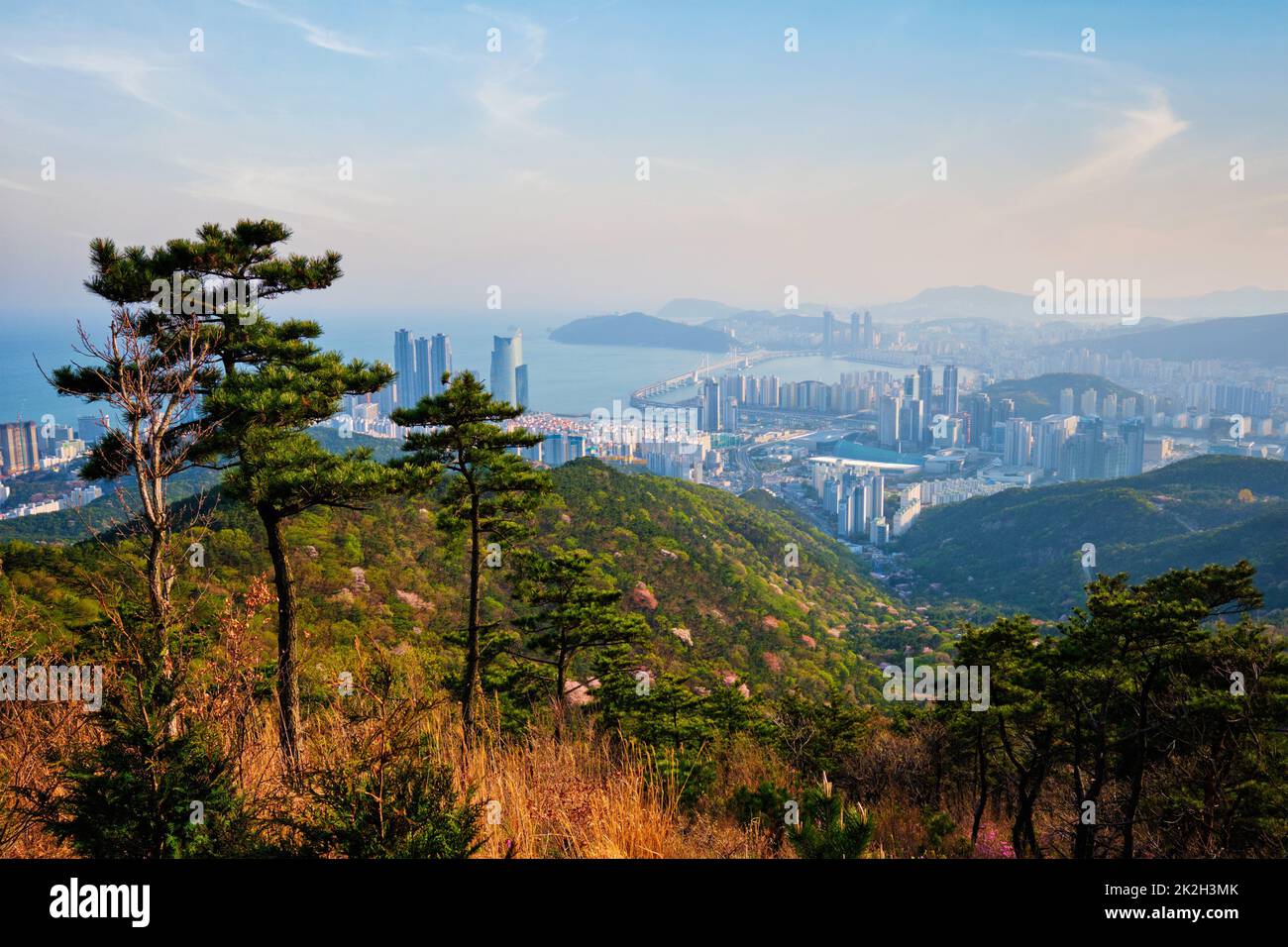 Busan cityscape Gwangan Bridge on sunset Stock Photo - Alamy