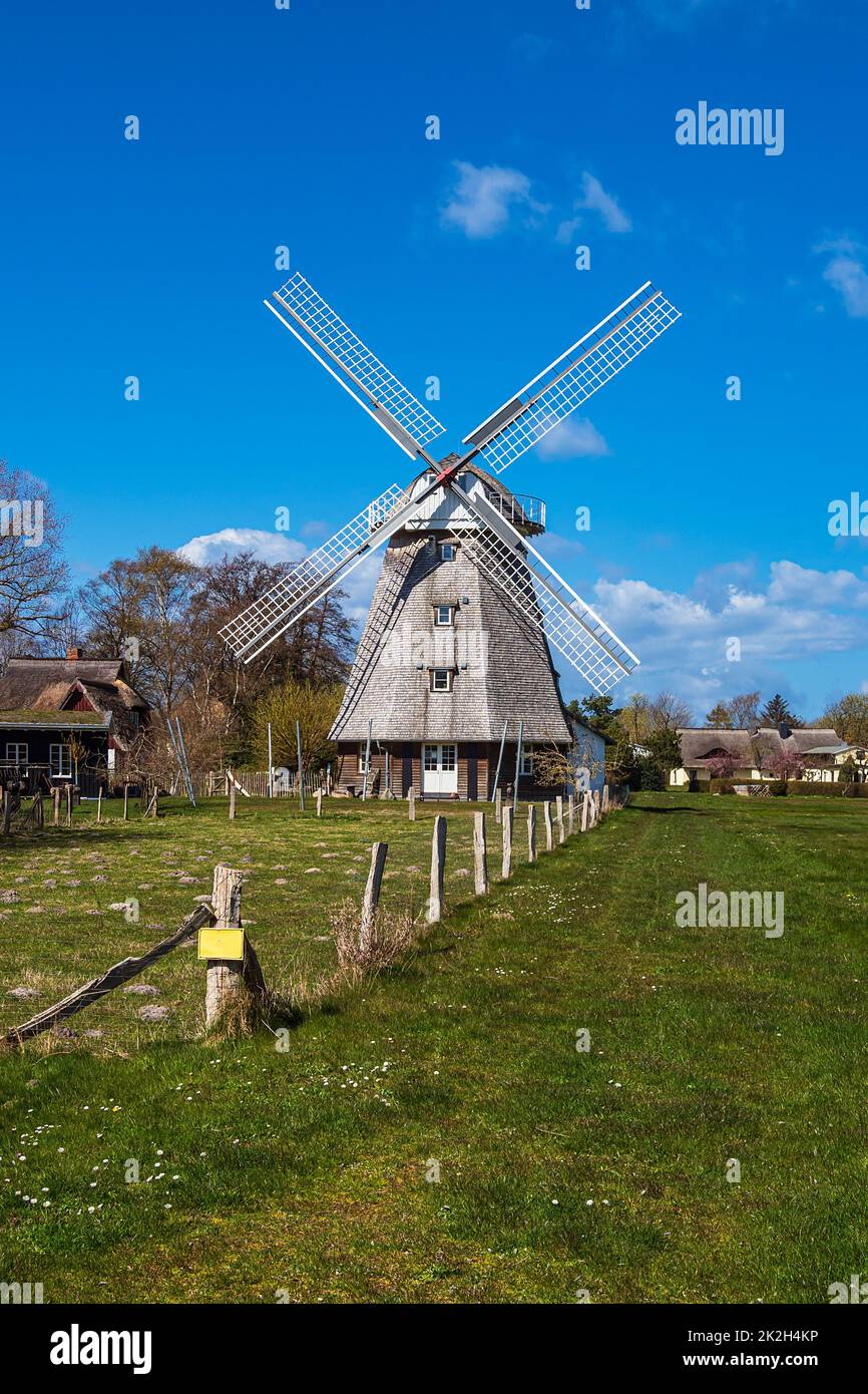 Historical wind mill with trees in Ahrenshoop, Germany Stock Photo - Alamy