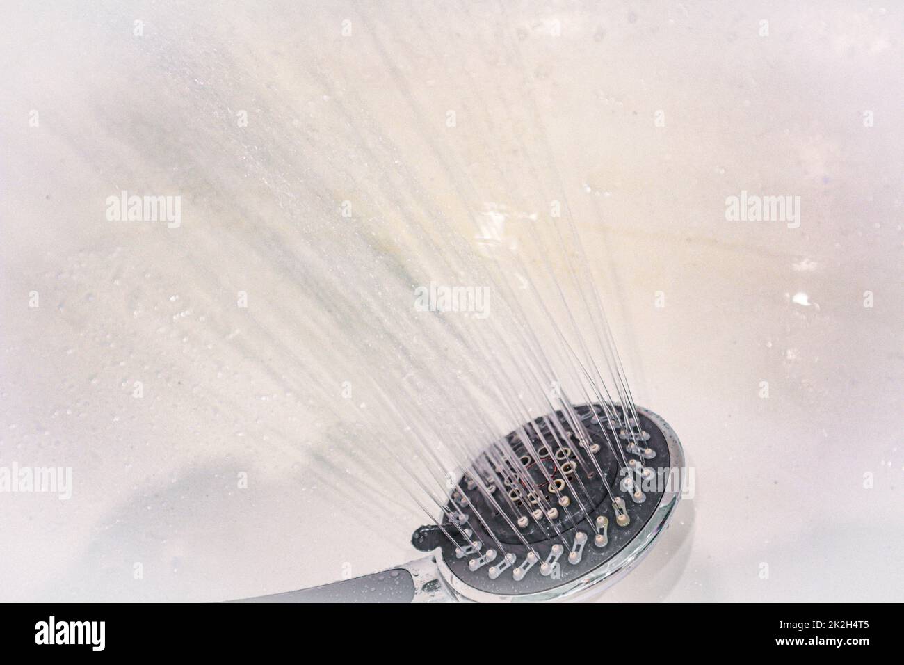 Drops of water fall from the watering can in the shower close-up. The ...