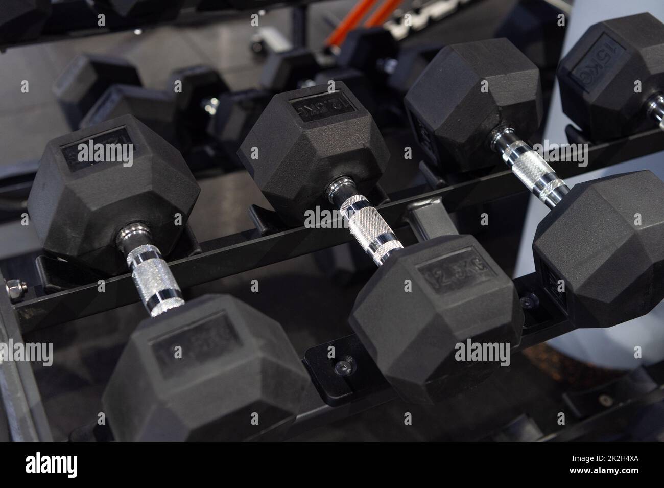 Fitness weight dumbbell rack in gym. Fitness set. Weights lifting ...