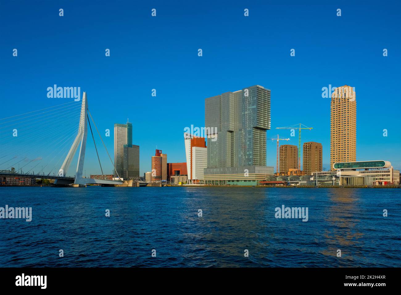 Rotterdam skyscrapers skyline and Erasmusbrug bridge over of Nieuwe ...