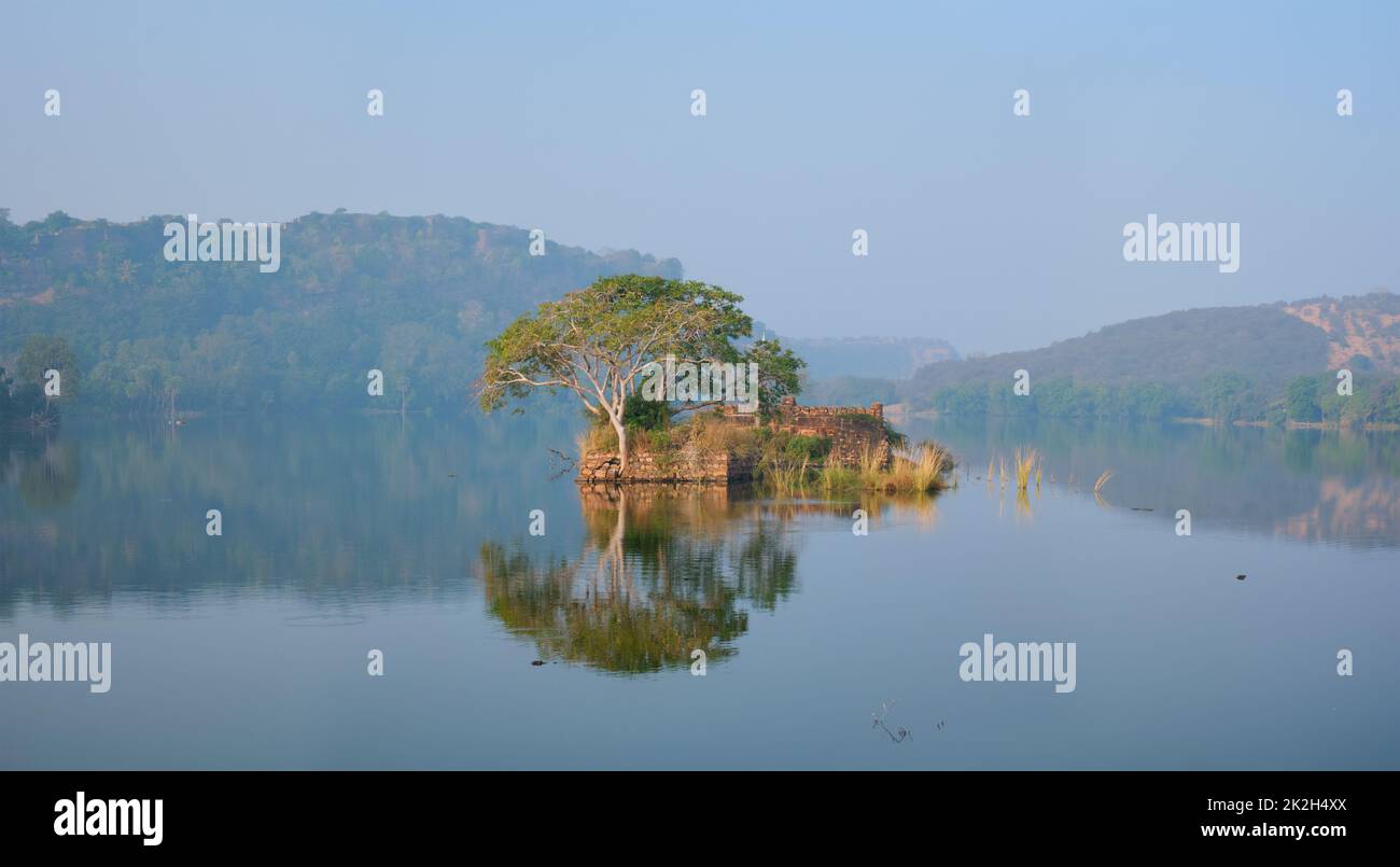 Serene morning on lake Padma Talao in. Ranthambore National Park ...