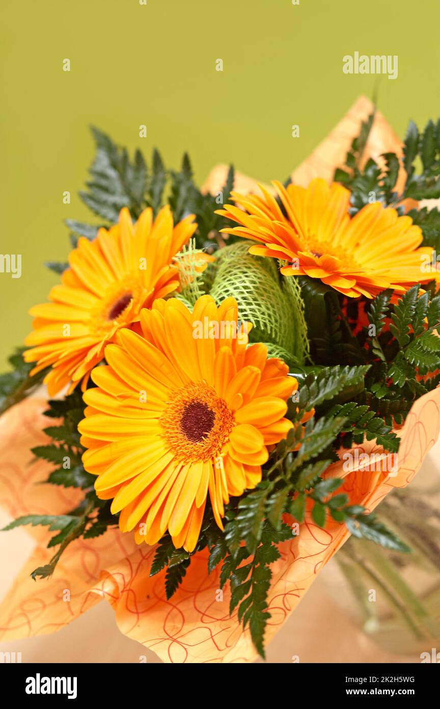 Orange Gerbera II Stock Photo - Alamy