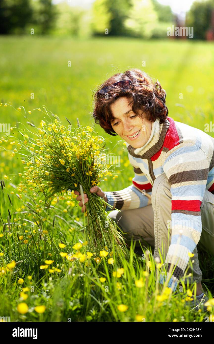 Spring at last Stock Photo - Alamy