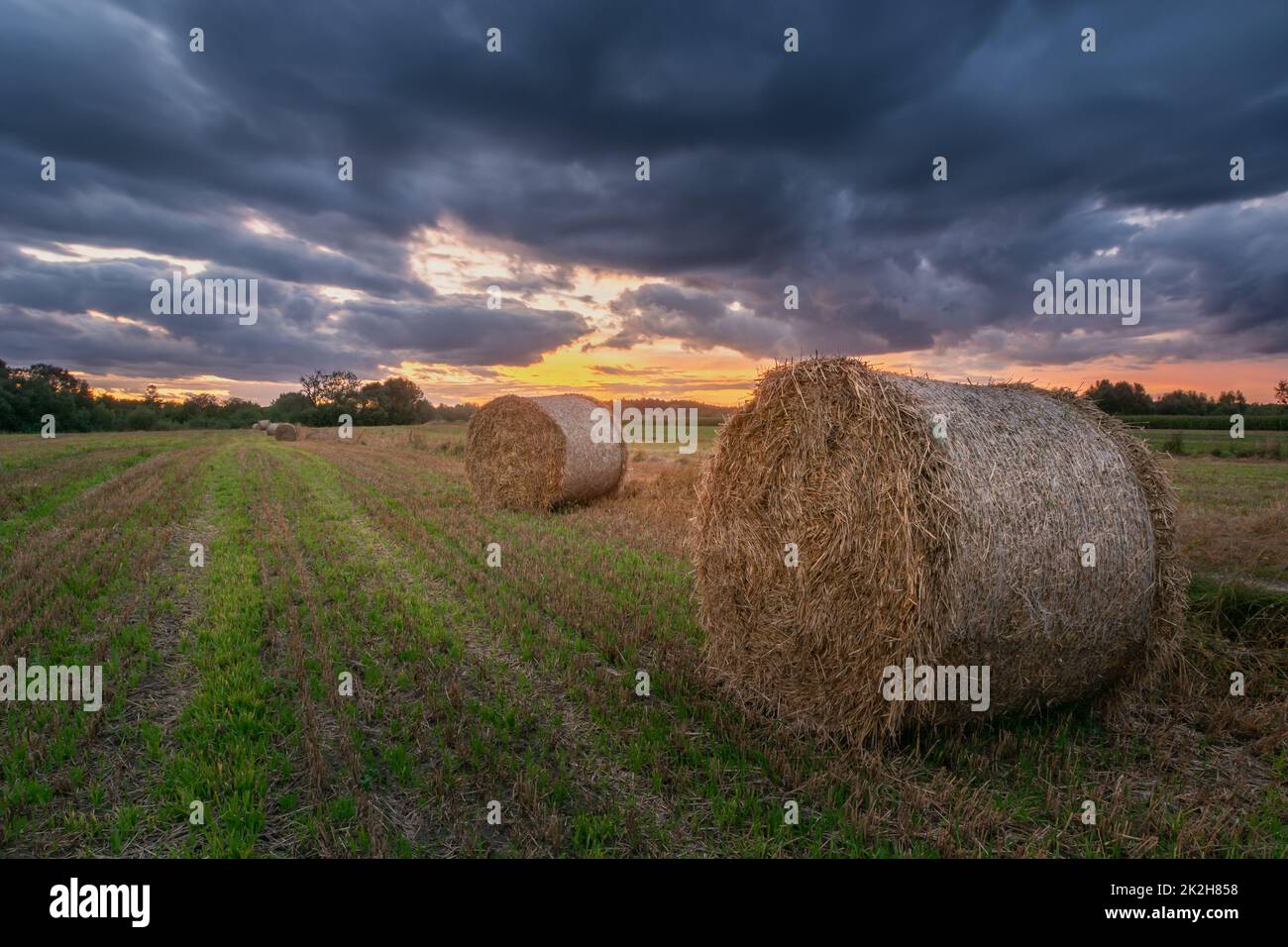 Straw bales in the field and clouds after sunset Stock Photo - Alamy