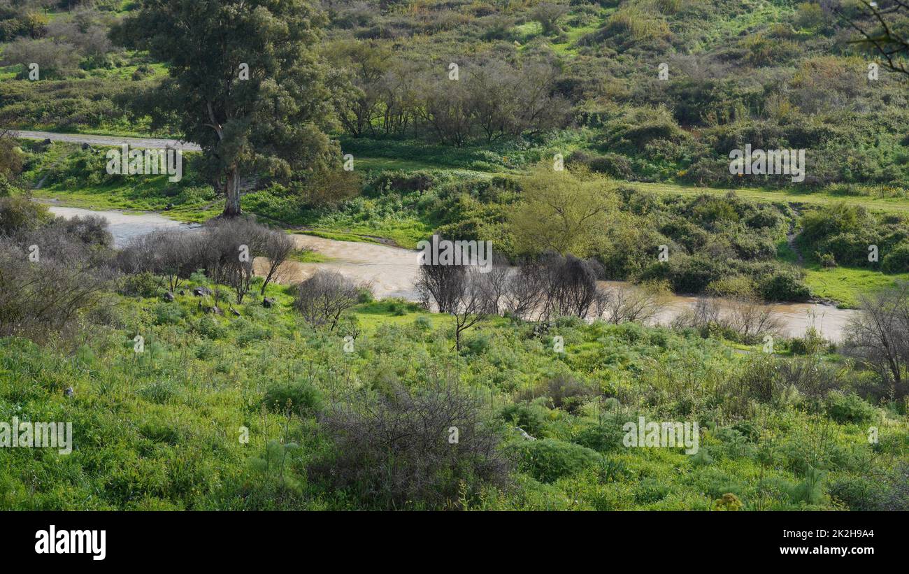 Northern jordan flowers hi-res stock photography and images - Alamy