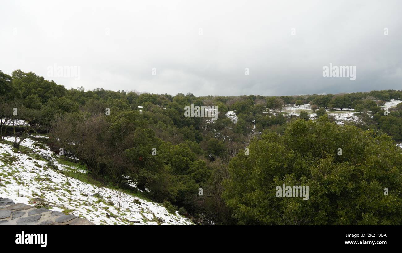 Big juba hi-res stock photography and images - Alamy