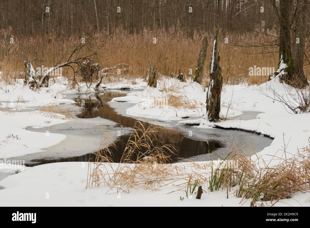 Landscape river reed hi-res stock photography and images - Alamy