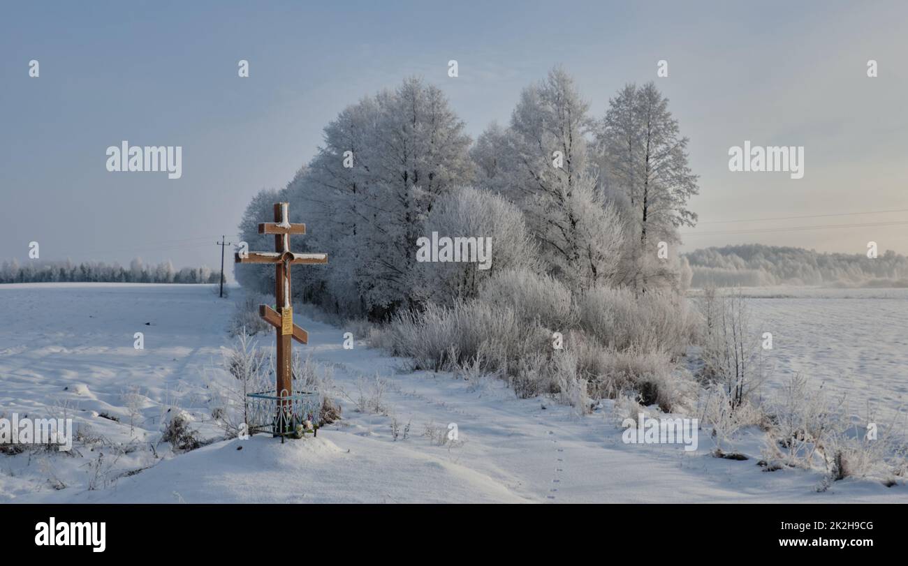 Winter landscape with trees snow wrapped Stock Photo - Alamy