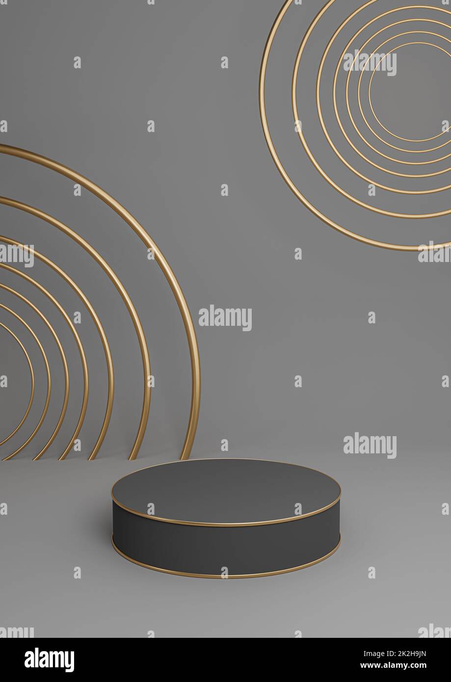 Dark graphite gray, black and white 3D rendering minimal product display luxury cylinder podium ...
