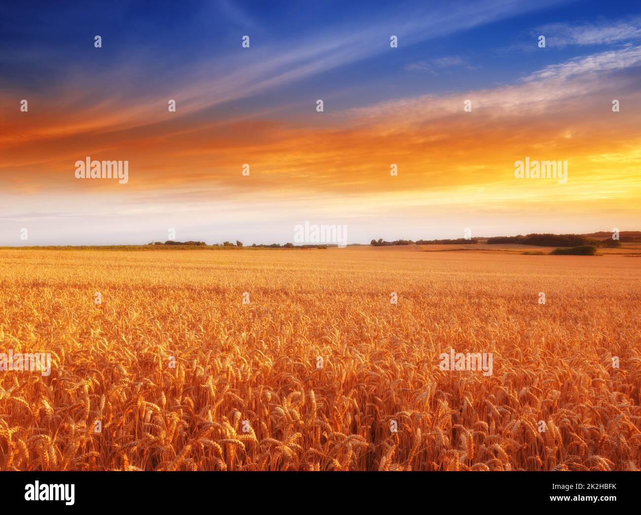 Authentic summer countryside landscape hi-res stock photography and ...