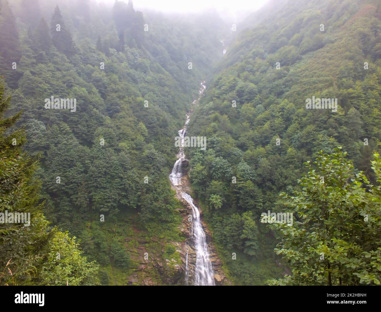 Ayder Plateau and natural Gelintulu Waterfall with foggy forest ...