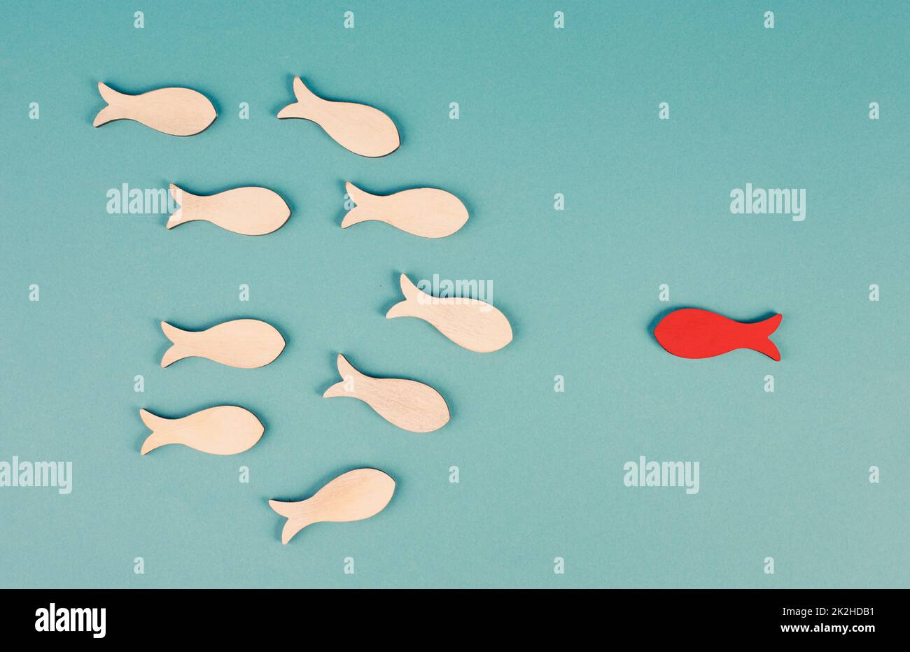 Red fish is the leader of the group, leadership and teamwork concept ...