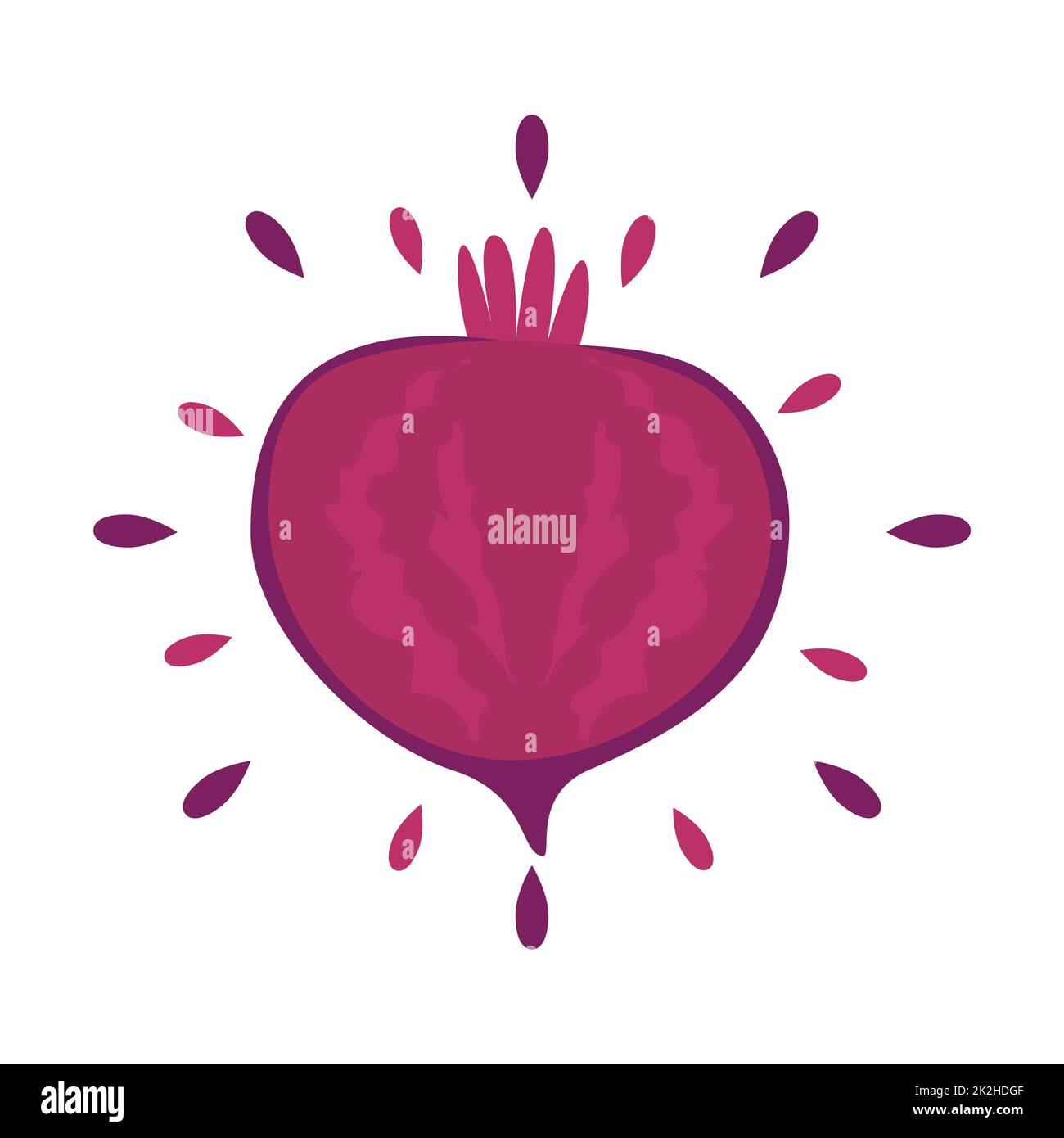 Abstract juicy beetroot icon with splash on white background - Vector ...
