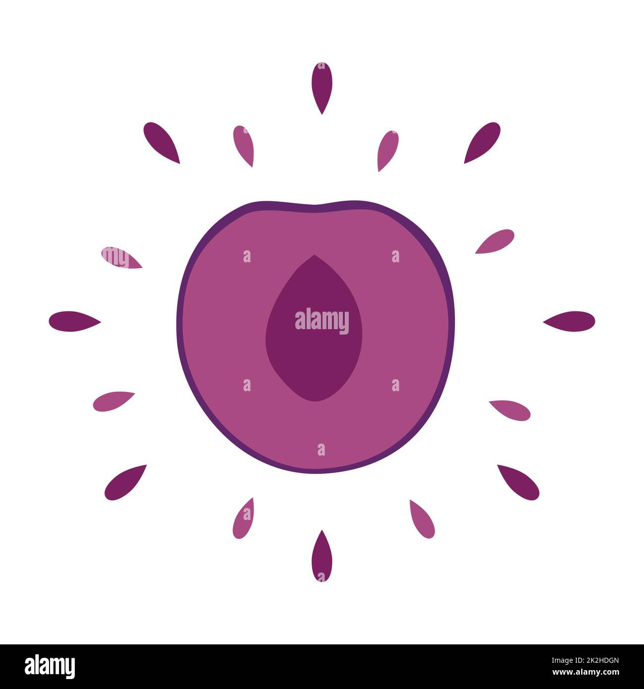 Abstract juicy plum icon with splash on white background - Vector Stock ...