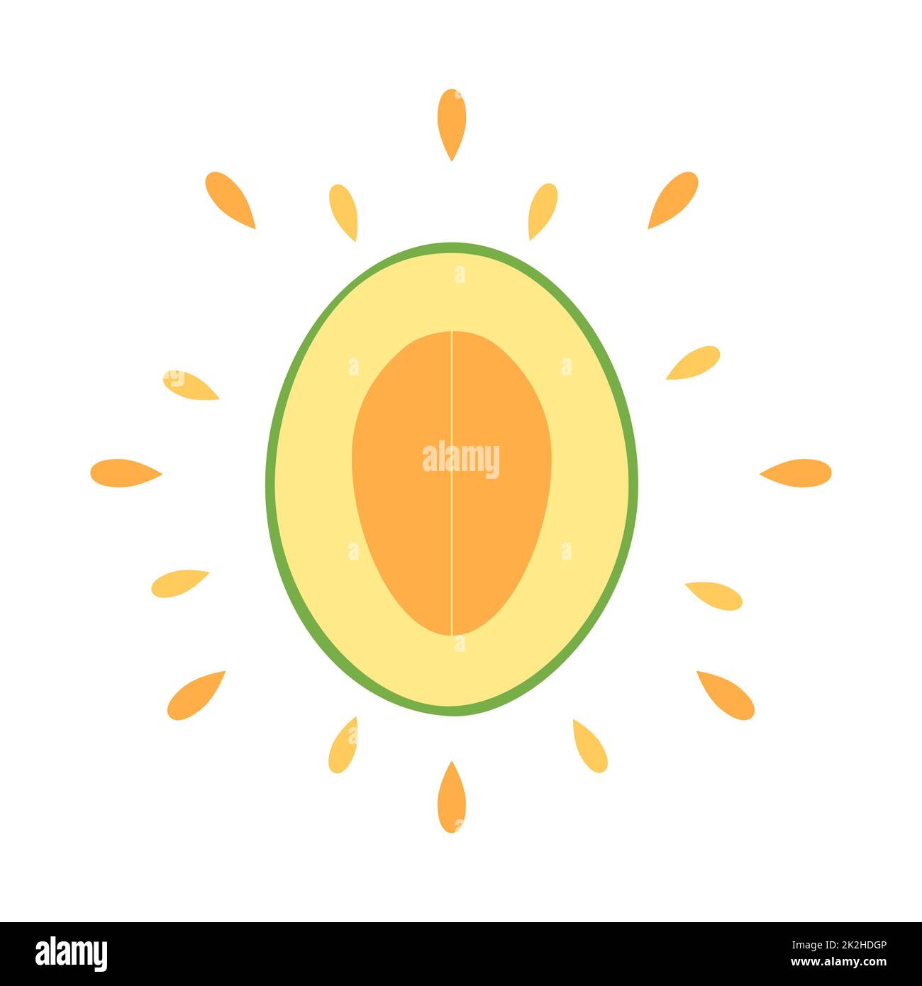 Abstract juicy melon icon with splash on white background - Vector ...