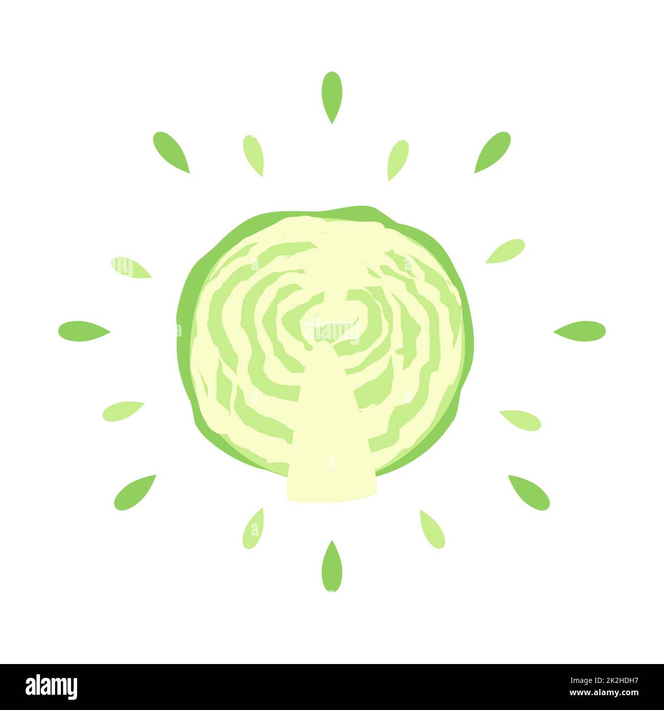 Abstract juicy cabbage icon with splash on white background - Vector ...