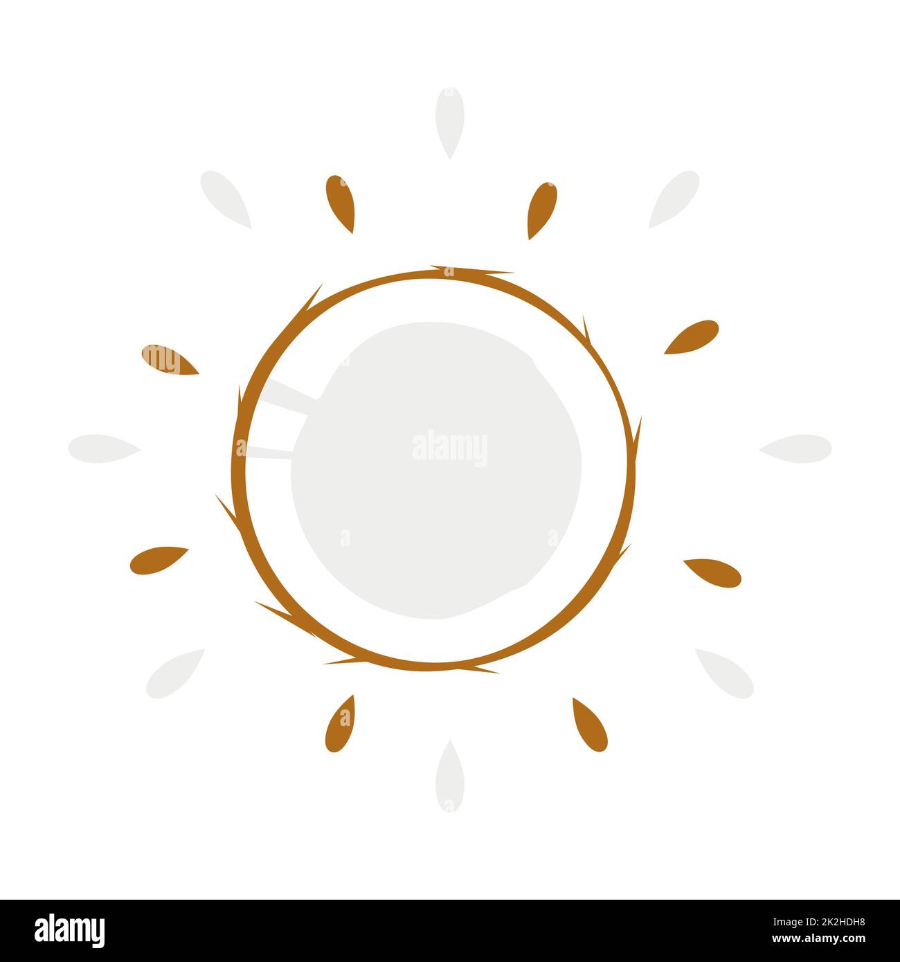Abstract juicy coconut icon with splash on white background - Vector ...