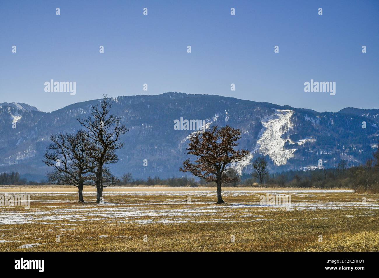 Murnauer moos hi-res stock photography and images - Alamy