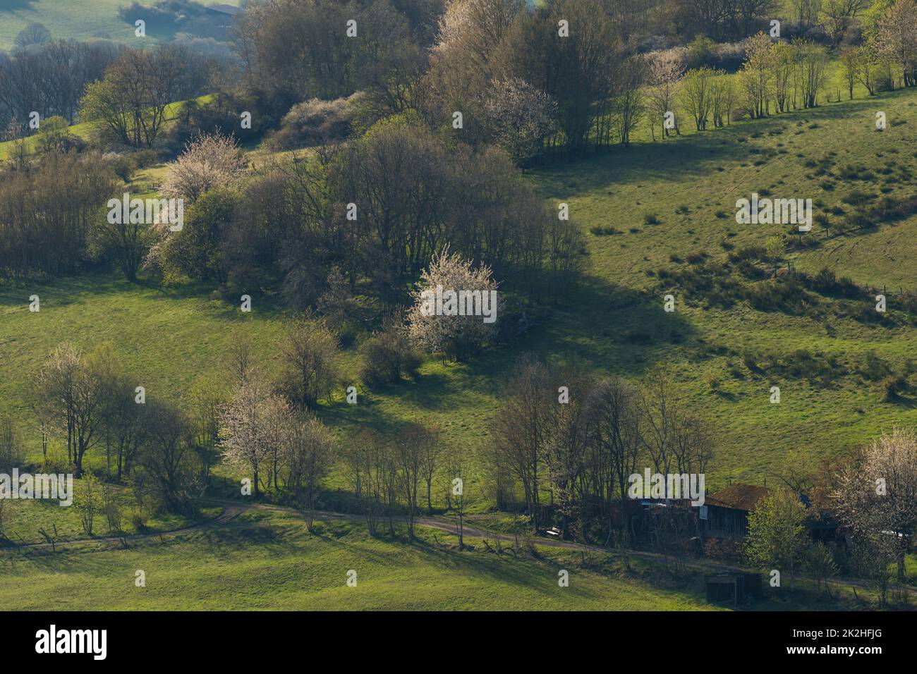 Green city landscape hi-res stock photography and images - Alamy